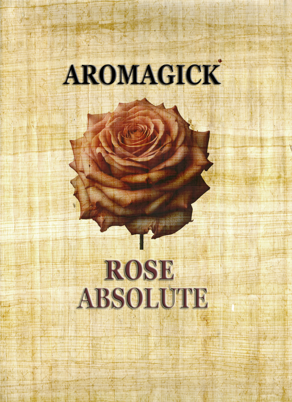 Rose Absolute | MANDRAKE